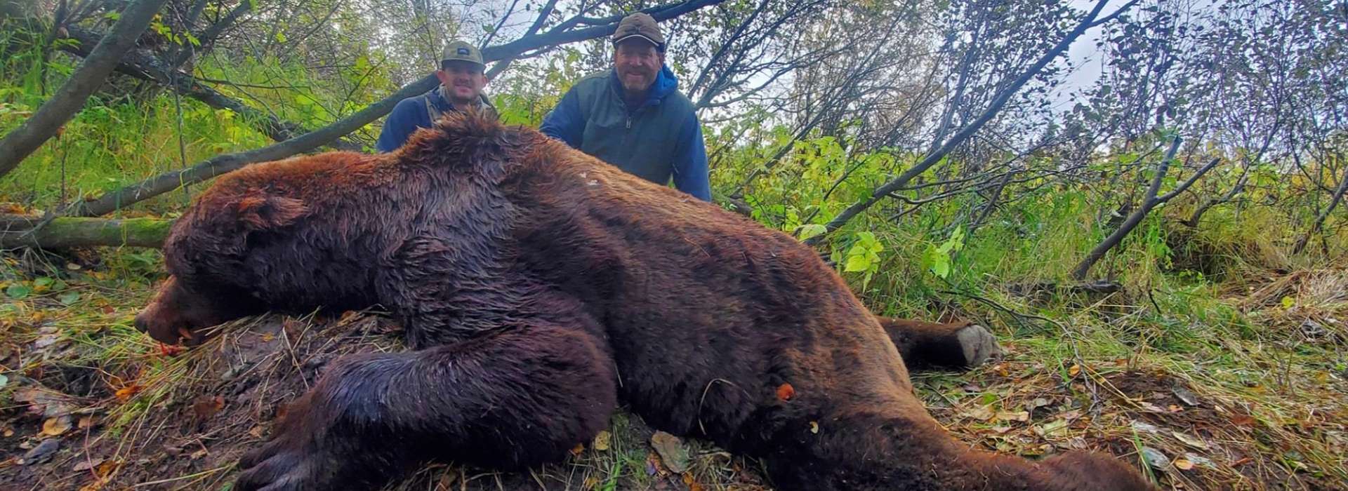 Guided Bear Hunts - Alaska Guide and Outfitting Service