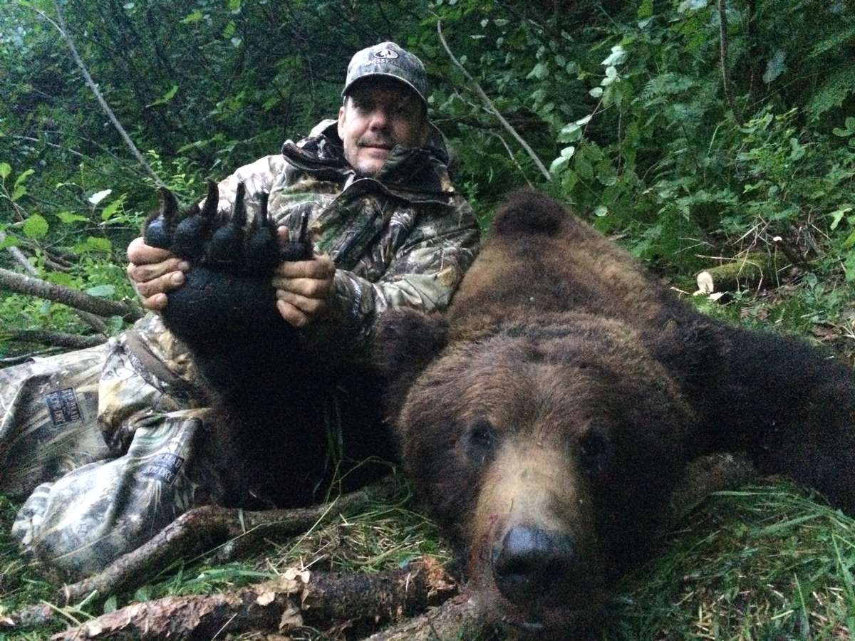 Guided Bear Hunts - Alaska Guide and Outfitting Service