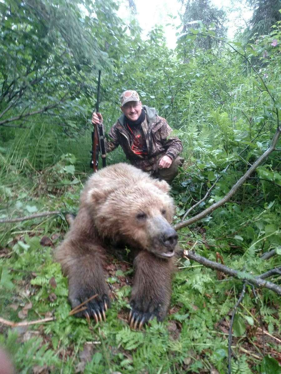 Guided Bear Hunts - Alaska Guide and Outfitting Service