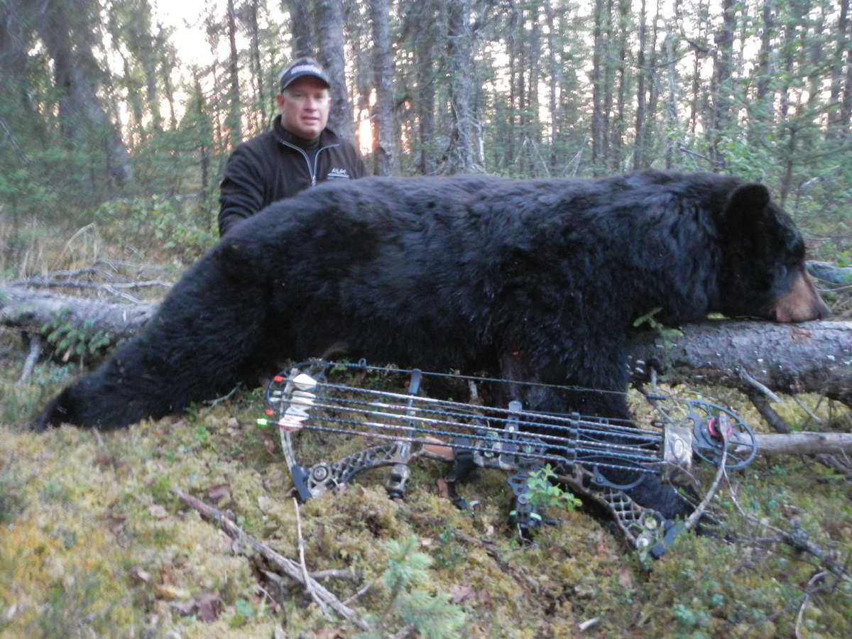 Alaska Guide and Outfitting Service Bear Photo Gallery